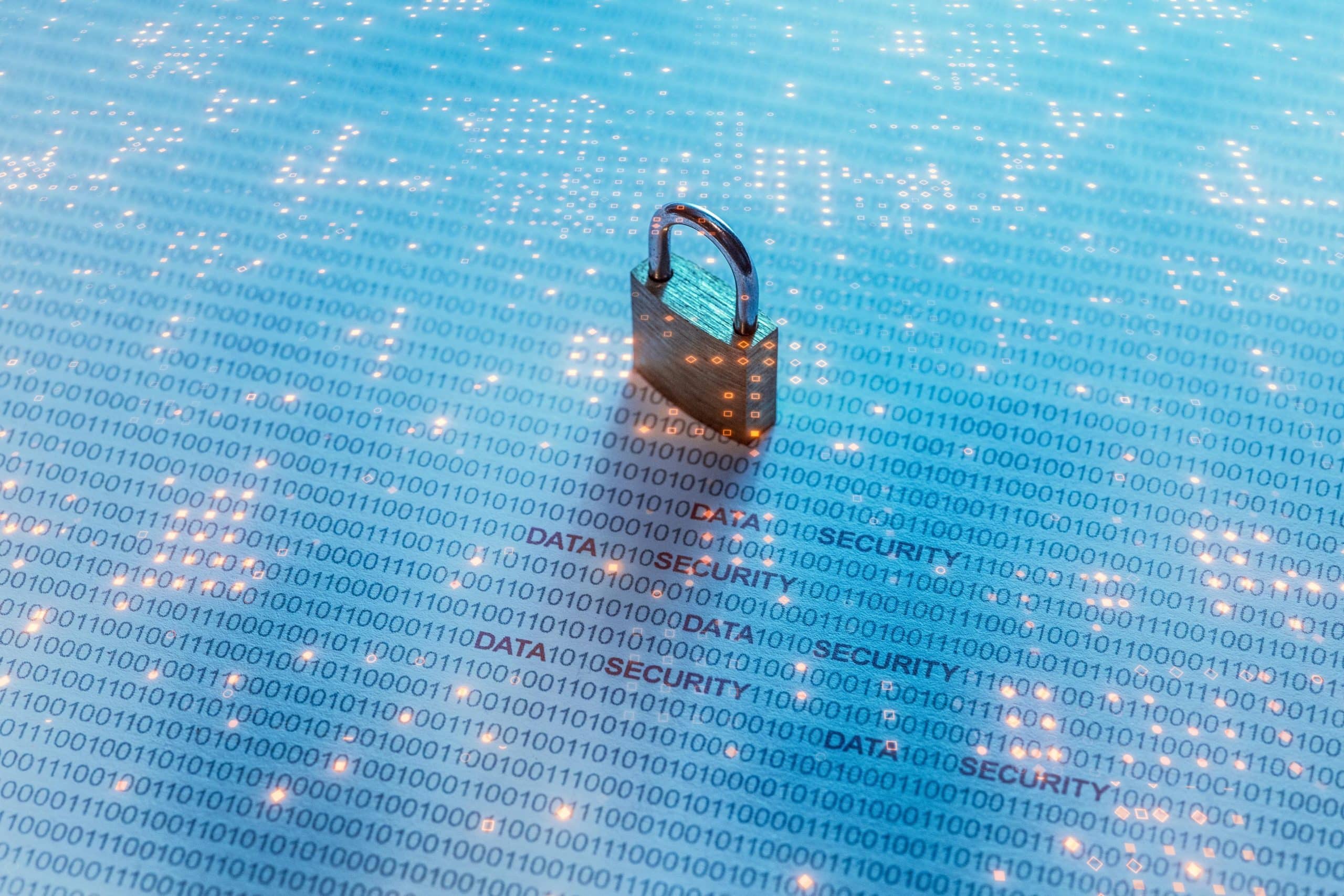 Security in a Digital Landscape | IRIS