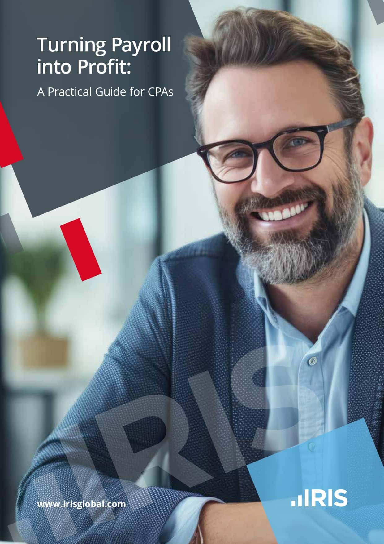 Turning Payroll into Profit: A Practical Guide for CPAs | Guides | IRIS