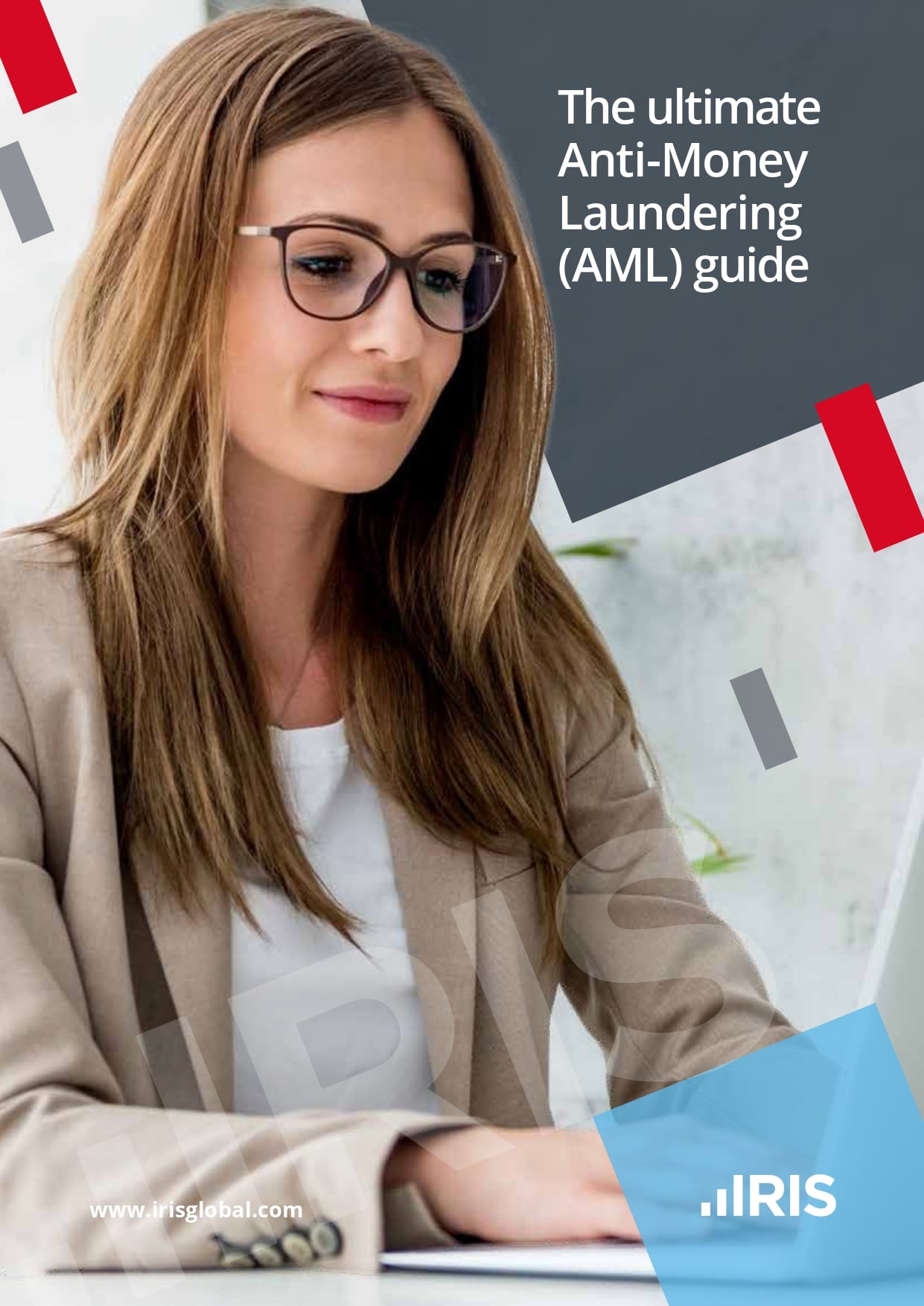 The ultimate guide to Anti-Money Laundering (AML) | Guides | IRIS